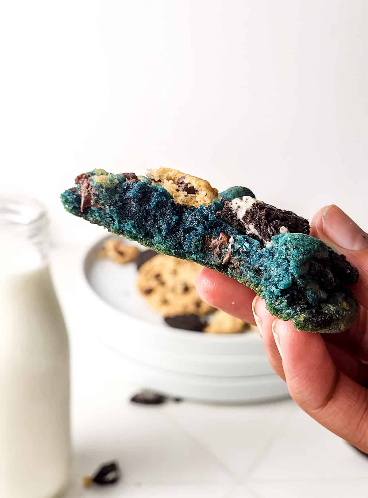 Cookie Monster Cookies Straight from Sesame Street To Your Kitchen ...