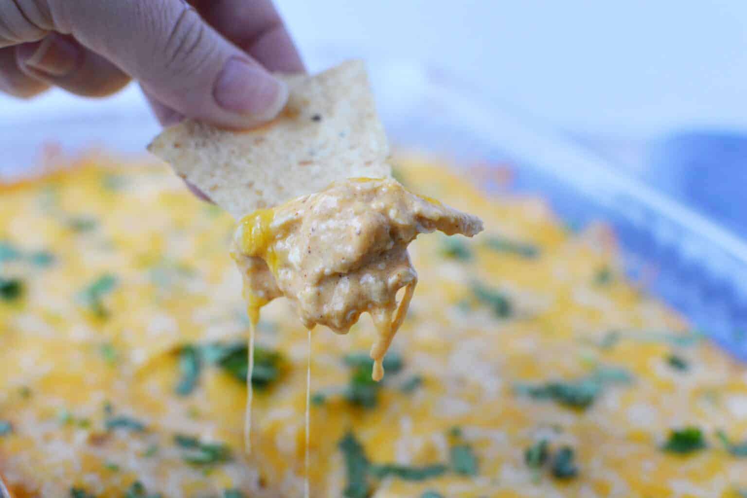 28 Sizzling Hot Dip Recipes Everyone Will Obsess Over - bake your day ...