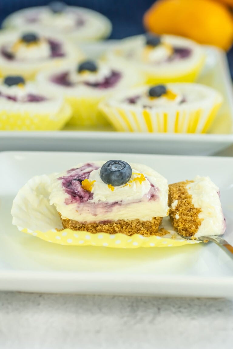 Berry Bliss: No Bake Lemon Blueberry Mini Cheesecakes - bake your day ...